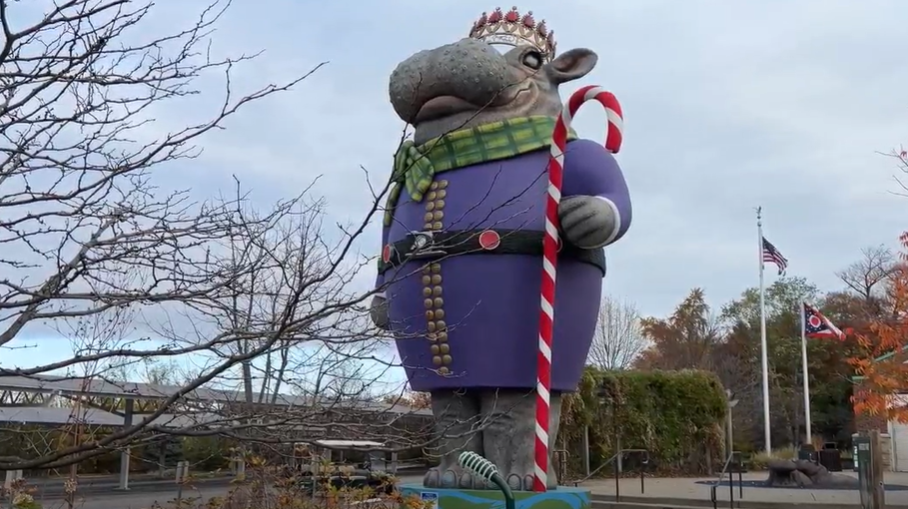 Cincinnati Zoo installs giant Fiona nutcracker statue to kick of ...