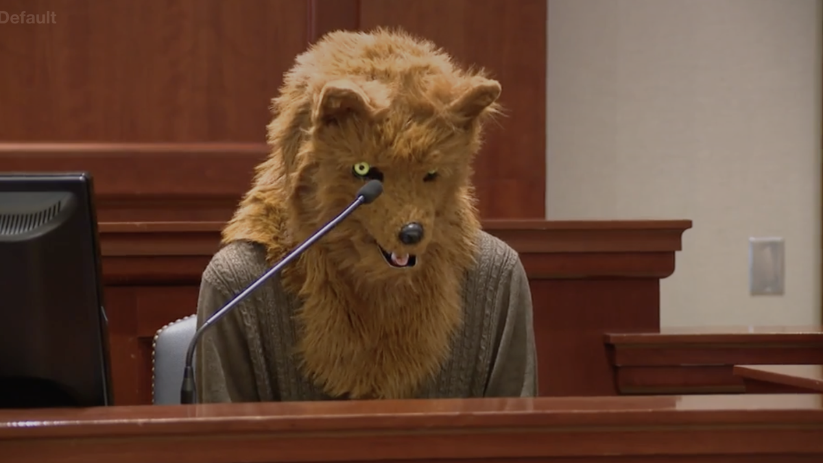 Elementary and college students hold mock trial involving fairy tale ...