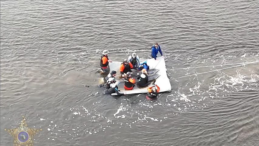 2 stranded dolphins rescued from shallow lagoon near Matlacha
