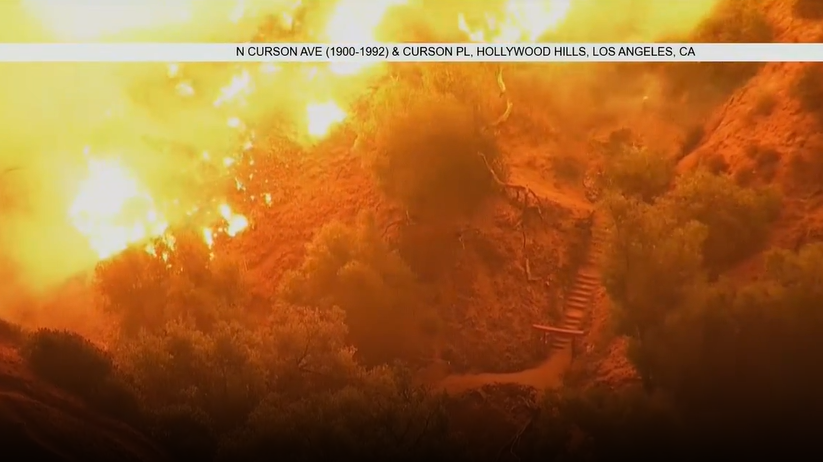 Sunset Fire: Evacuation order lifted for Hollywood Hills fire