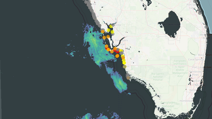 Red tide detected near Lee County beaches, health alert issued