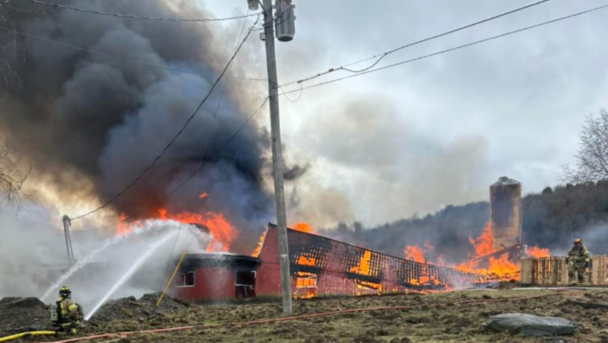 Livestock lost in Barre fire, barn collapse