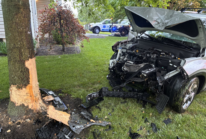 1 adult, 2 children severely injured after SUV slams into tree during ...