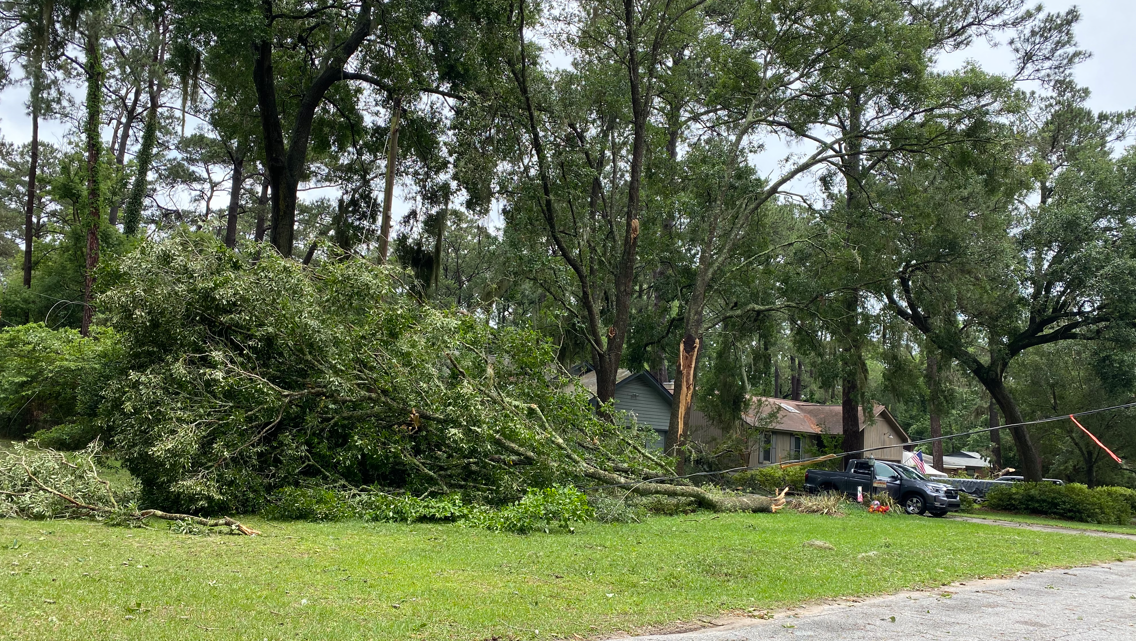 Severe weather knocks down trees in Savannah Severe weather knocks down trees in Savannah