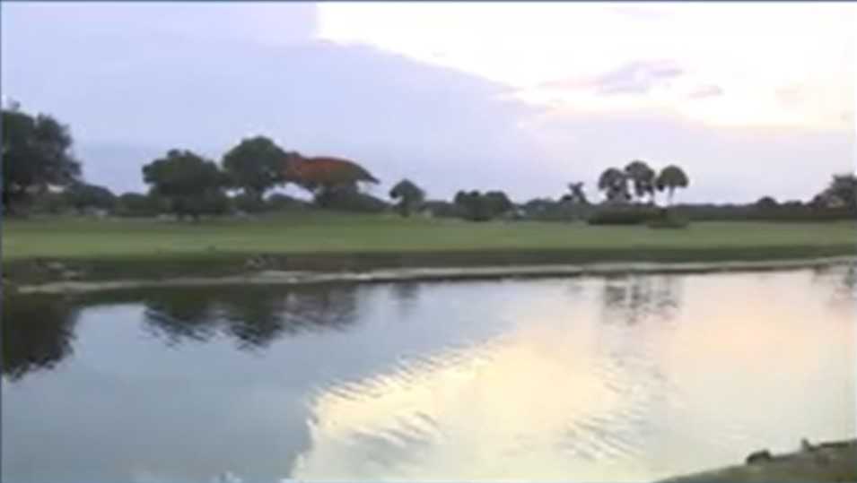 Man fires several shots at group on Florida golf course, pd says