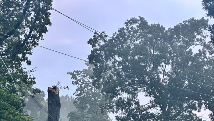 First day of SC school canceled after tree knocks out power