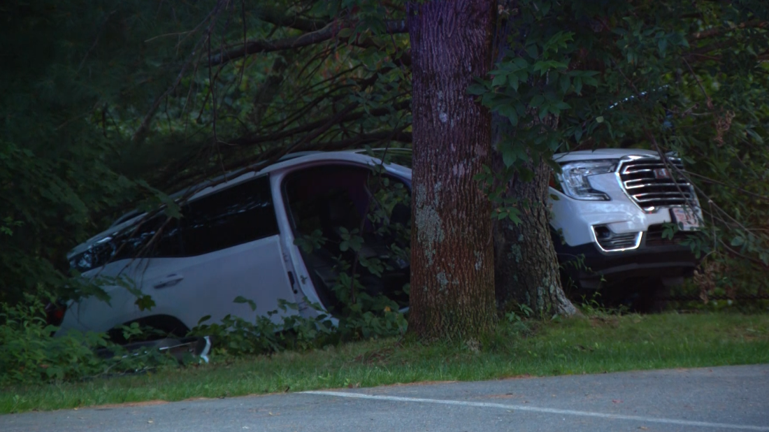 Mass. firefighters extricate man pinned between tree, SUV