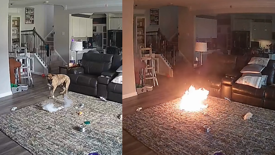 Dog sets house fire North Carolina lithium battery | Video