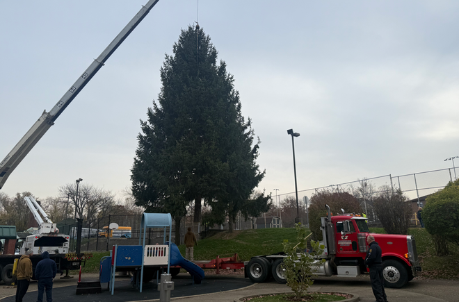 Downtown Pittsburgh's Christmas tree ready for Light Up Night