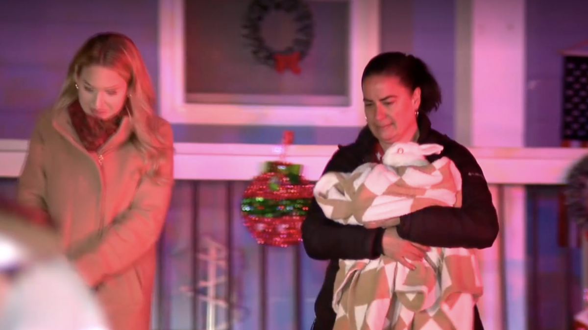 Rabbit saves Georgia family from house fire