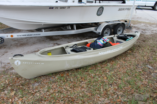 FWC kills gator responsible for death of 61-year-old woman