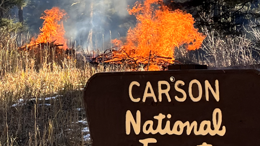 Carson Forest prescribed pile burns are ready to begin