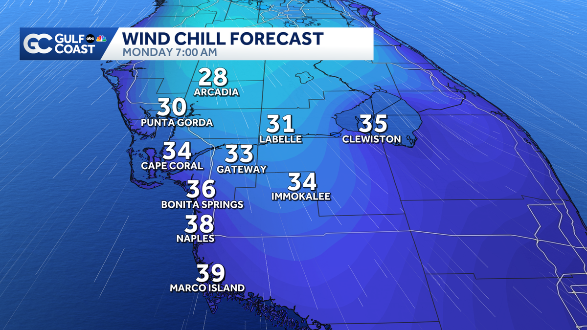 Gusty winds usher bone-chilling air into the Gulf Coast