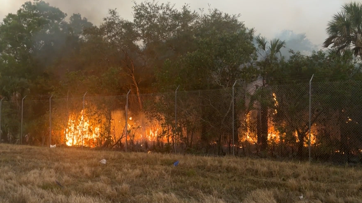 Big Cypress National Preserve wildfire spreads to at least 30,000 acres