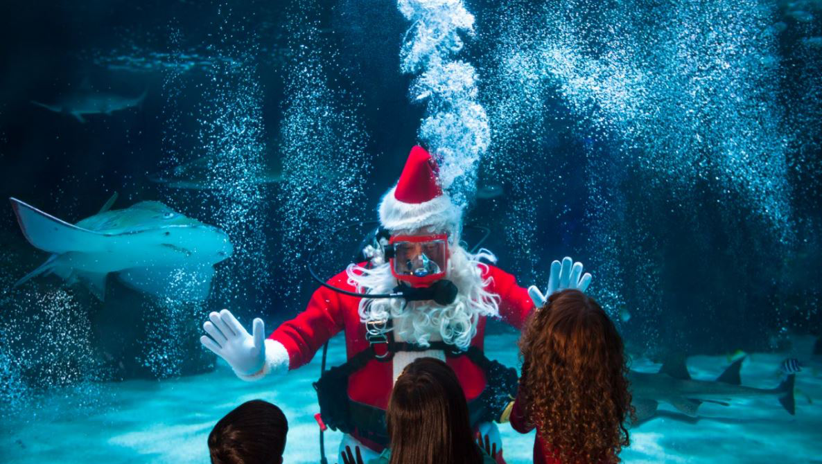 Meteorologist Randi Rico dives in with Scuba Santa