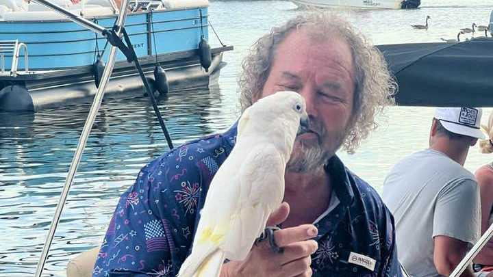 Reward offered for cockatoo that went missing after owner died on the ...