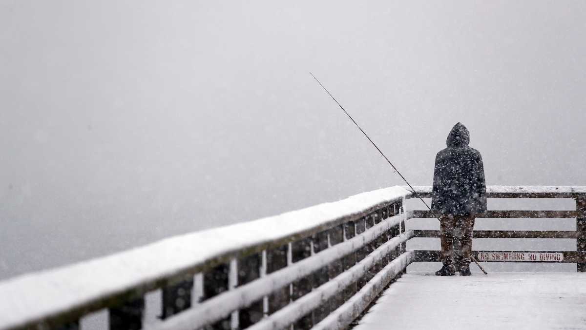 Seattle nearly reached its yearly amount of snowfall in one day