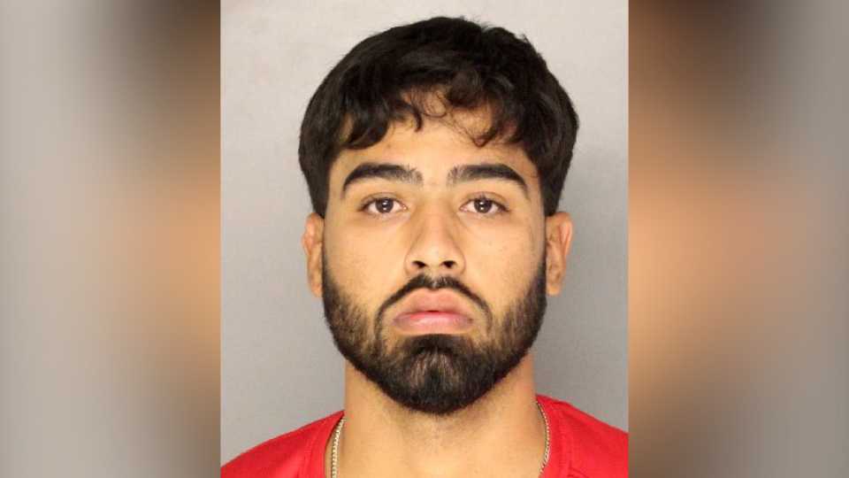 Washington Wild Things pitcher charged after punch left victim with ...