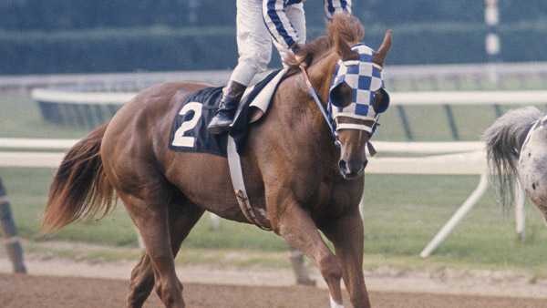 Champions Day at the track: Celebrating the iconic Secretariat