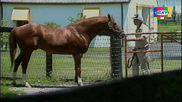 Secretariat: Remembering a horse-racing legend