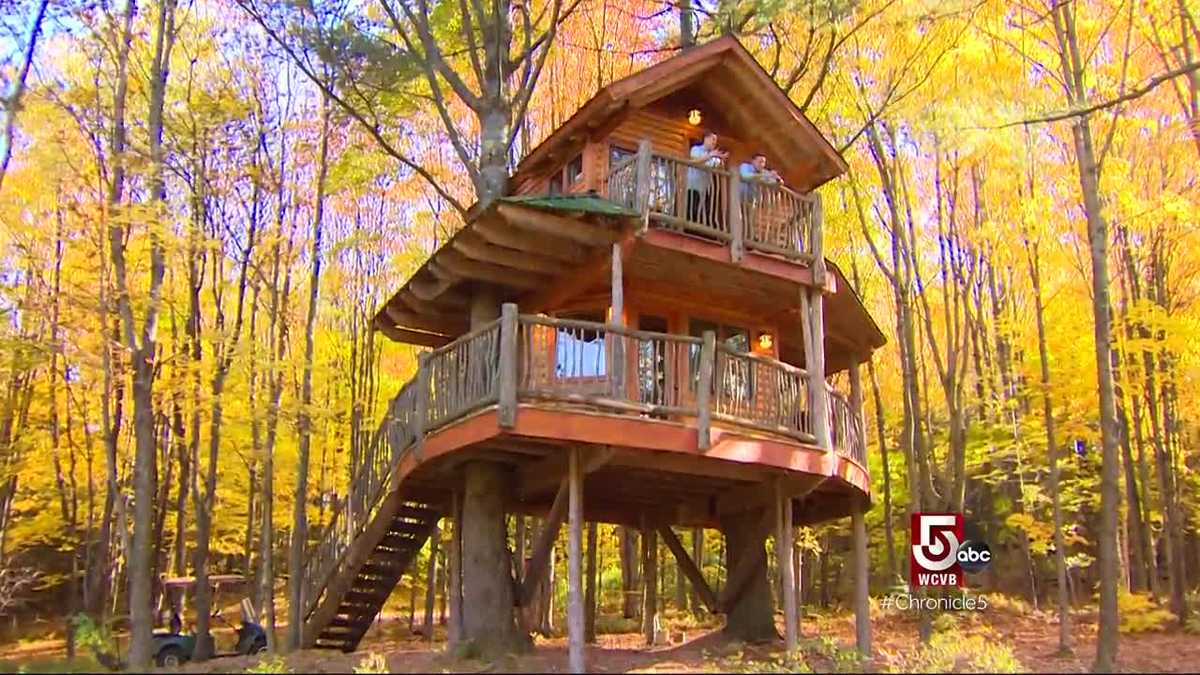 Mega treehouses line Vermont's Route 100