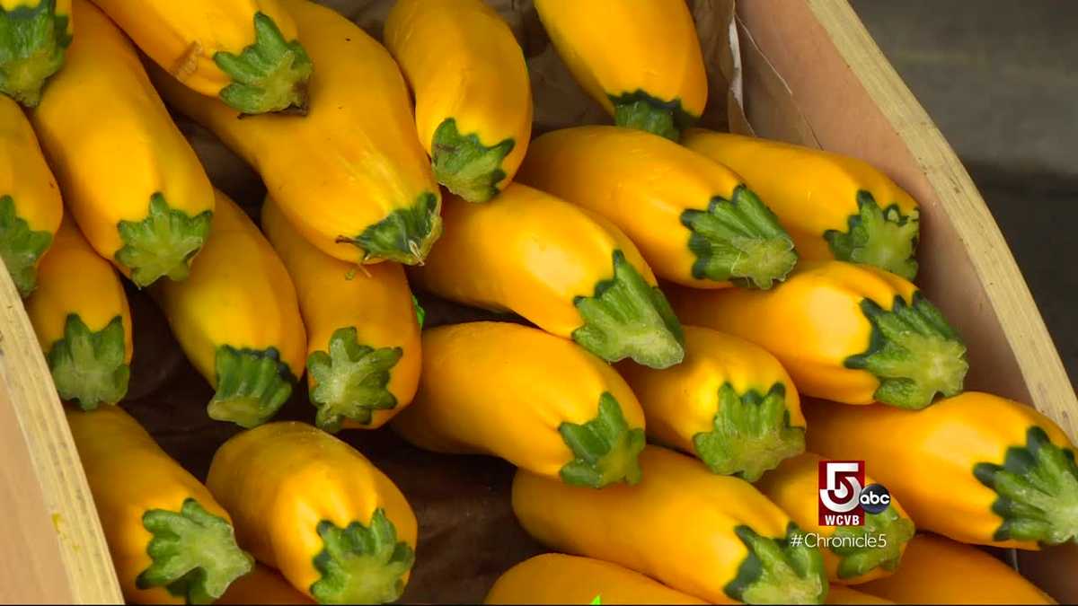At Idylewilde Farm, four generations of Napoli's are farming fresh ...