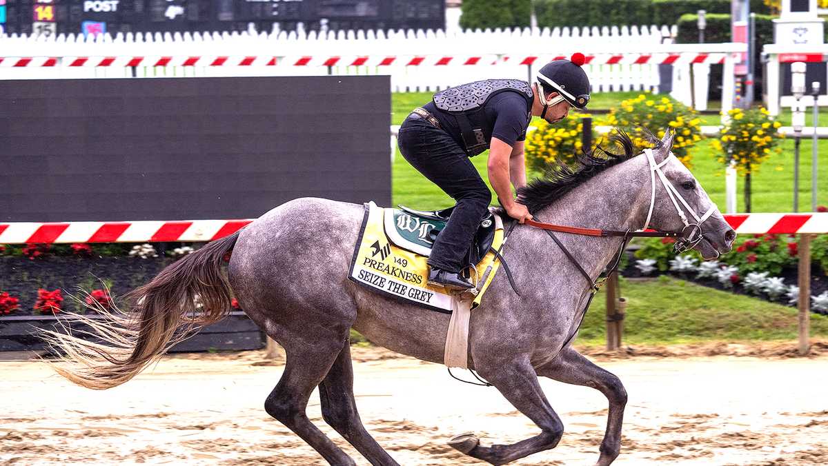 149th Preakness Stakes in photos