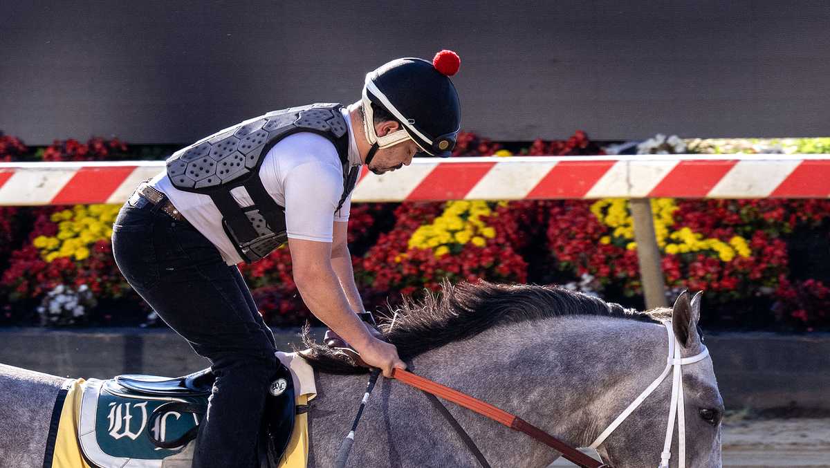 149th Preakness Stakes in photos