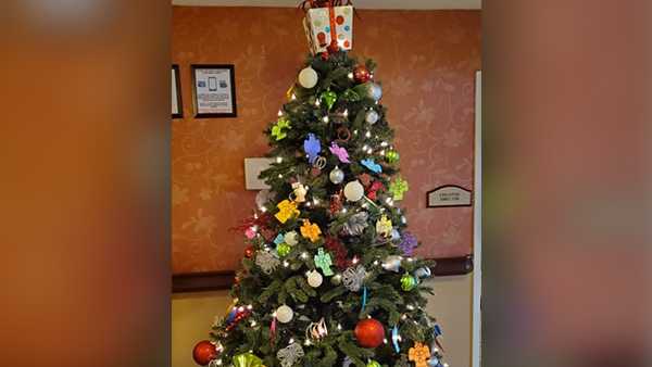 'Senior trees’ another way to give this holiday season