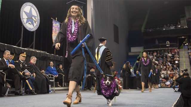 Adorable service dog walks stage with graduate