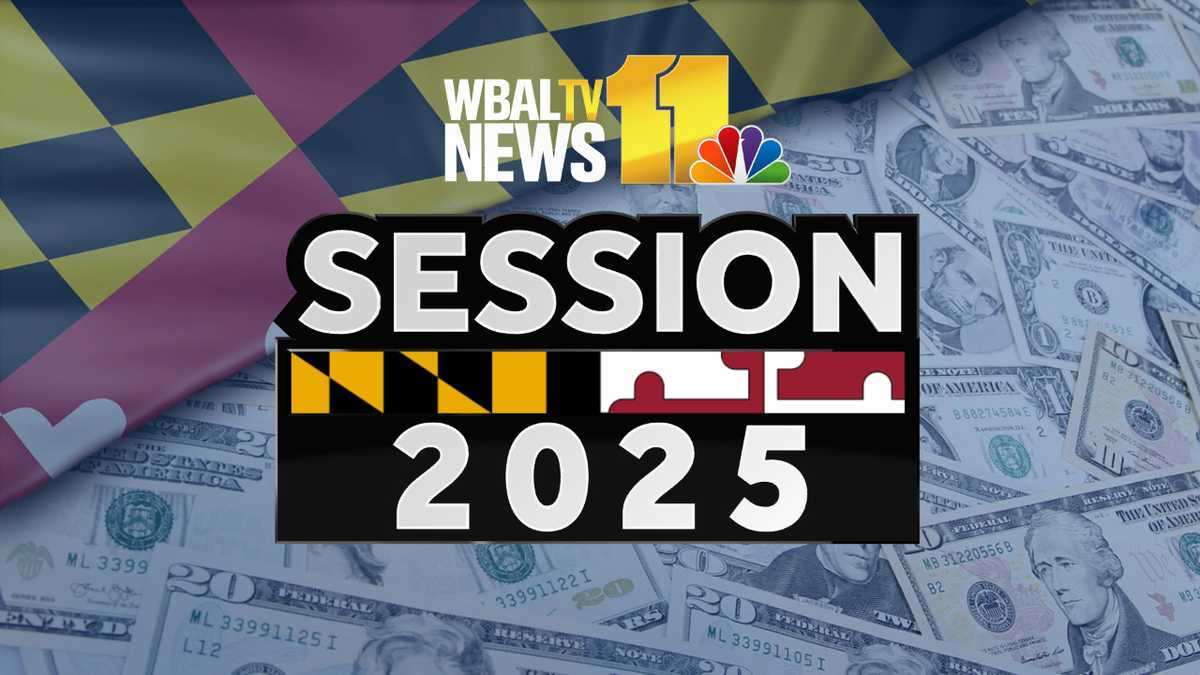 Senate passes budget with $2B in cuts, $1.6B in new taxes, fees Senate passes budget with $2B in cuts, $1.6B in new taxes, fees