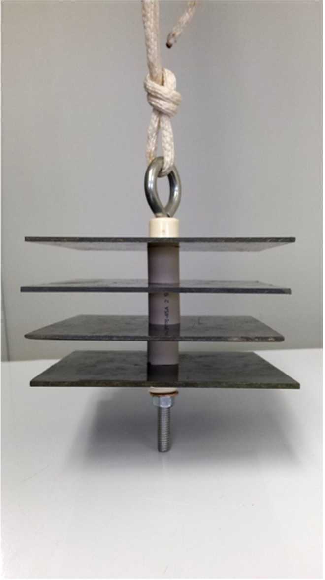 You can help prevent invasive mussels from taking hold in Maine