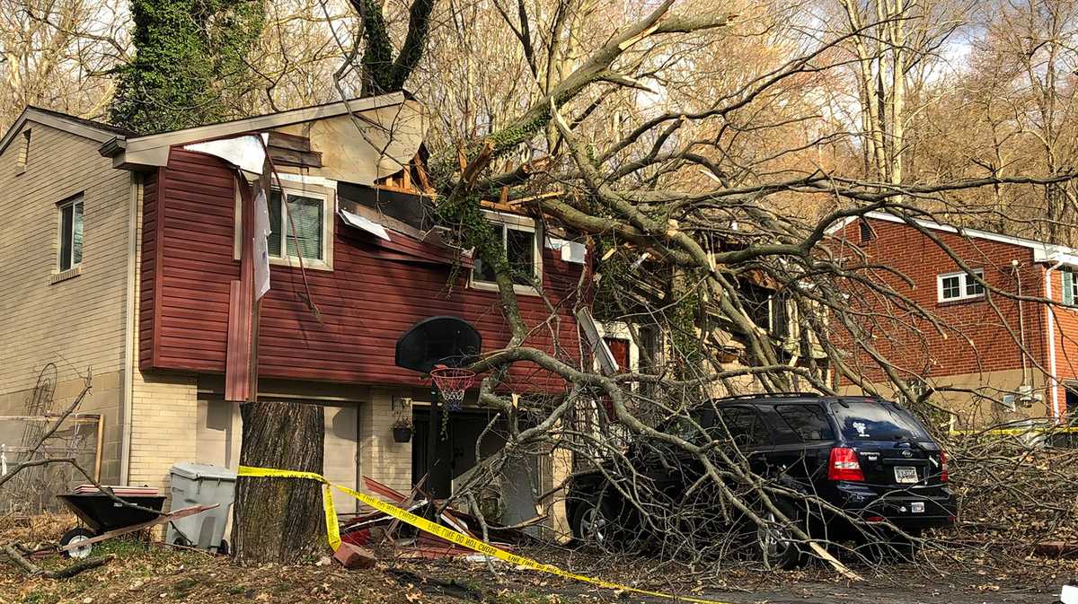Trees, wires down amid strong wind gusts in Pittsburgh