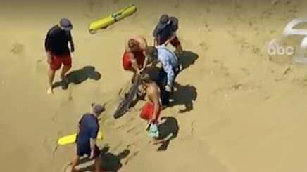 VIDEO: Lifeguards capture shark with bare hands at California beach