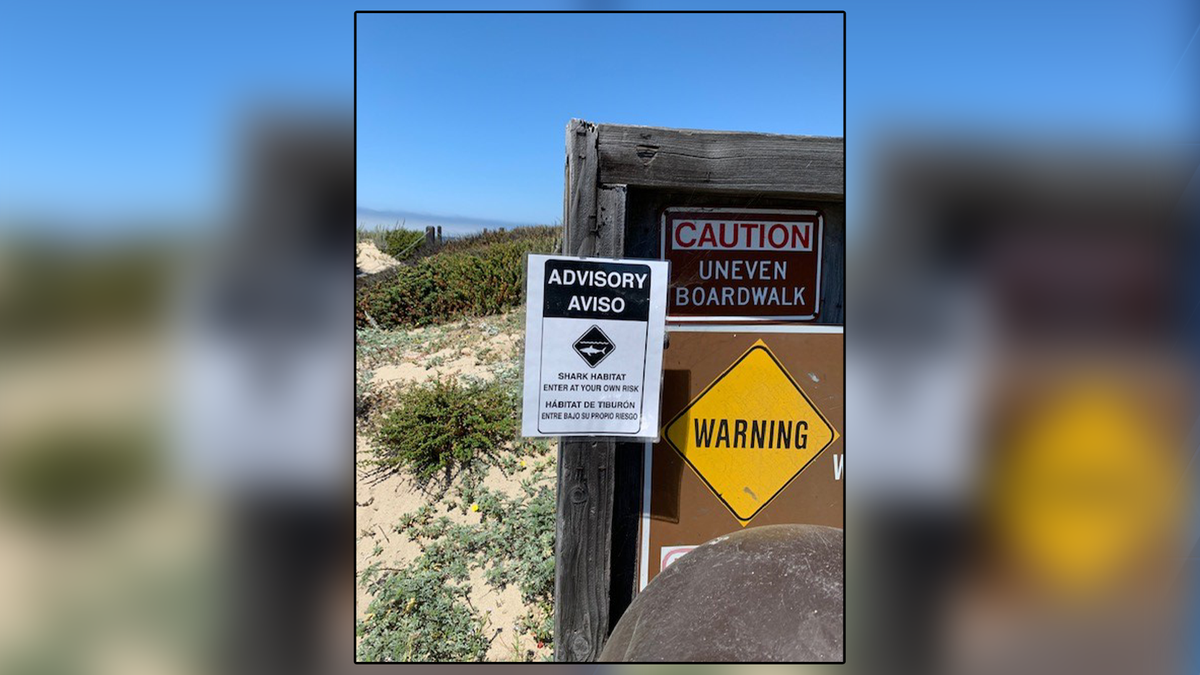 Juvenile sharks in Monterey Bay prompt shark advisory signs