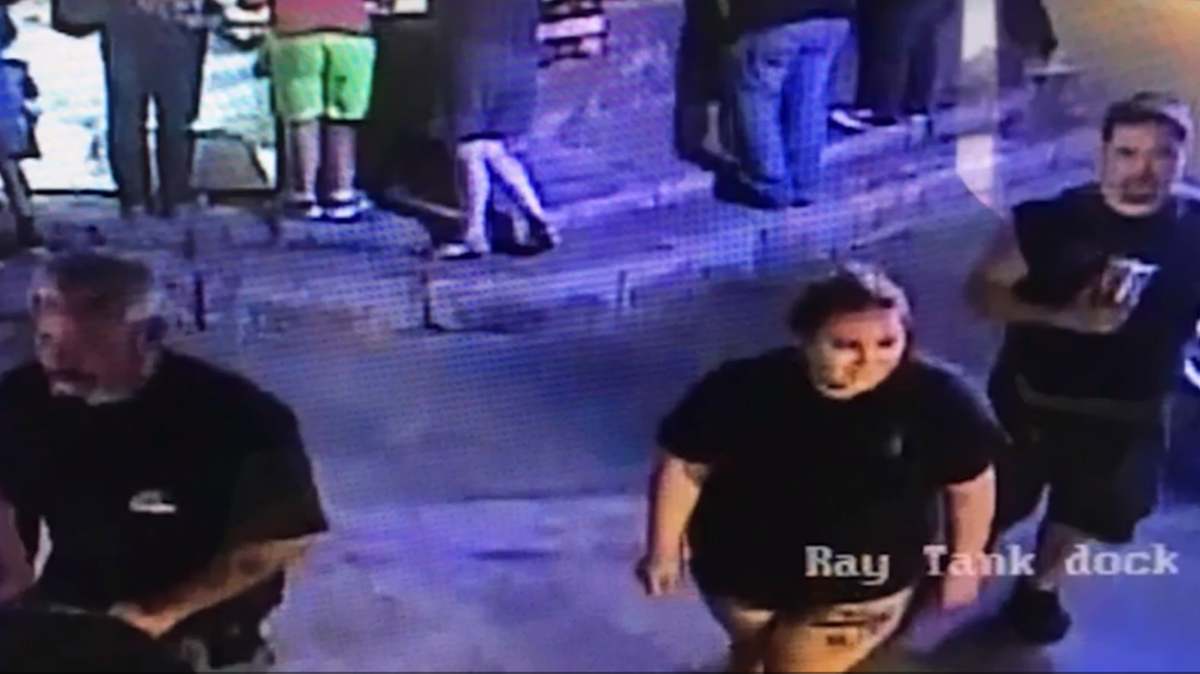 Trio steals shark from aquarium by disguising it as a baby