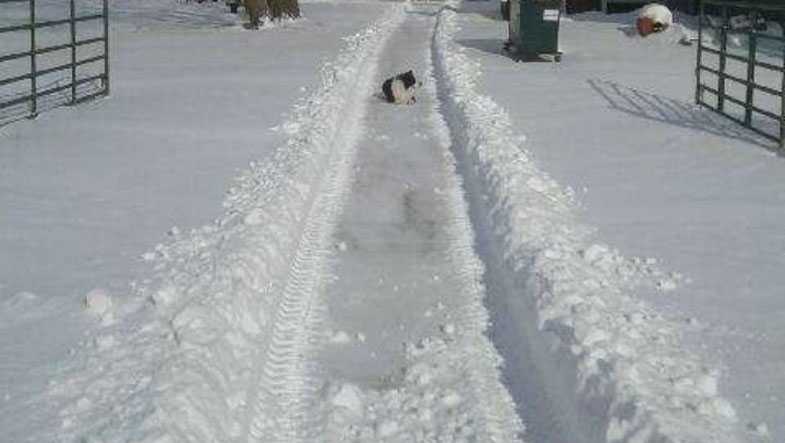 Snow totals vary from 11.4 to 2 inches