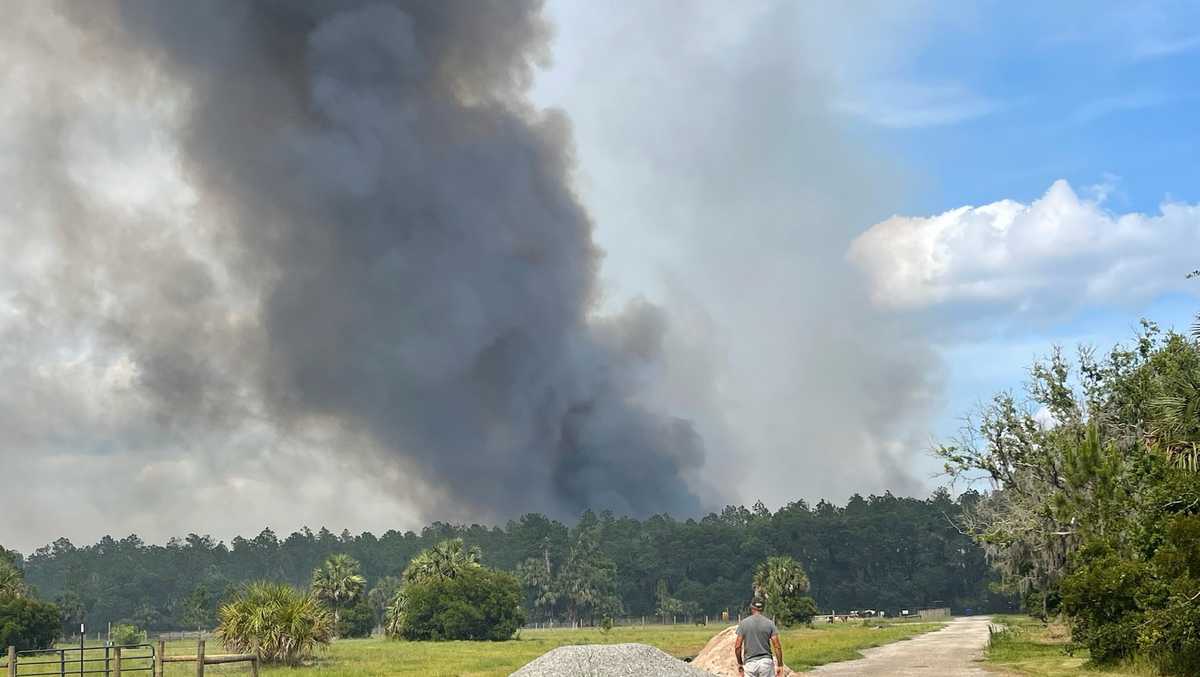 Crews at the scene of large brush fire in Volusia County