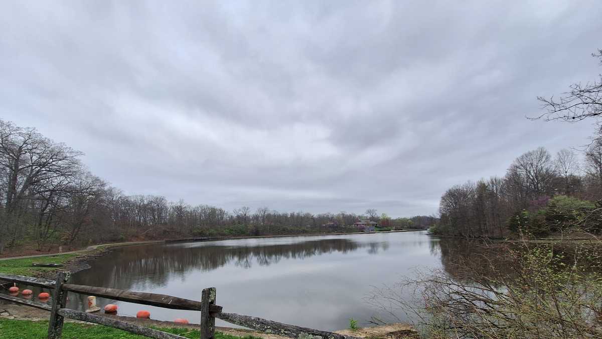 Sharon Lake improvement project underway