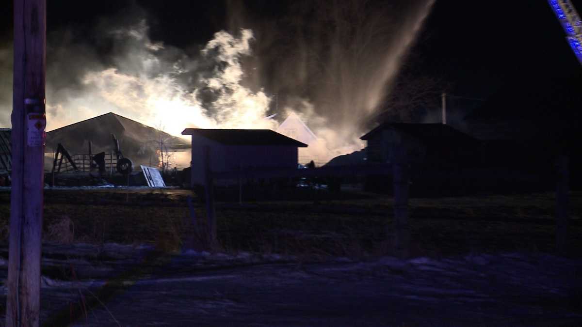 Cattle run from burning barn in Sheboygan County