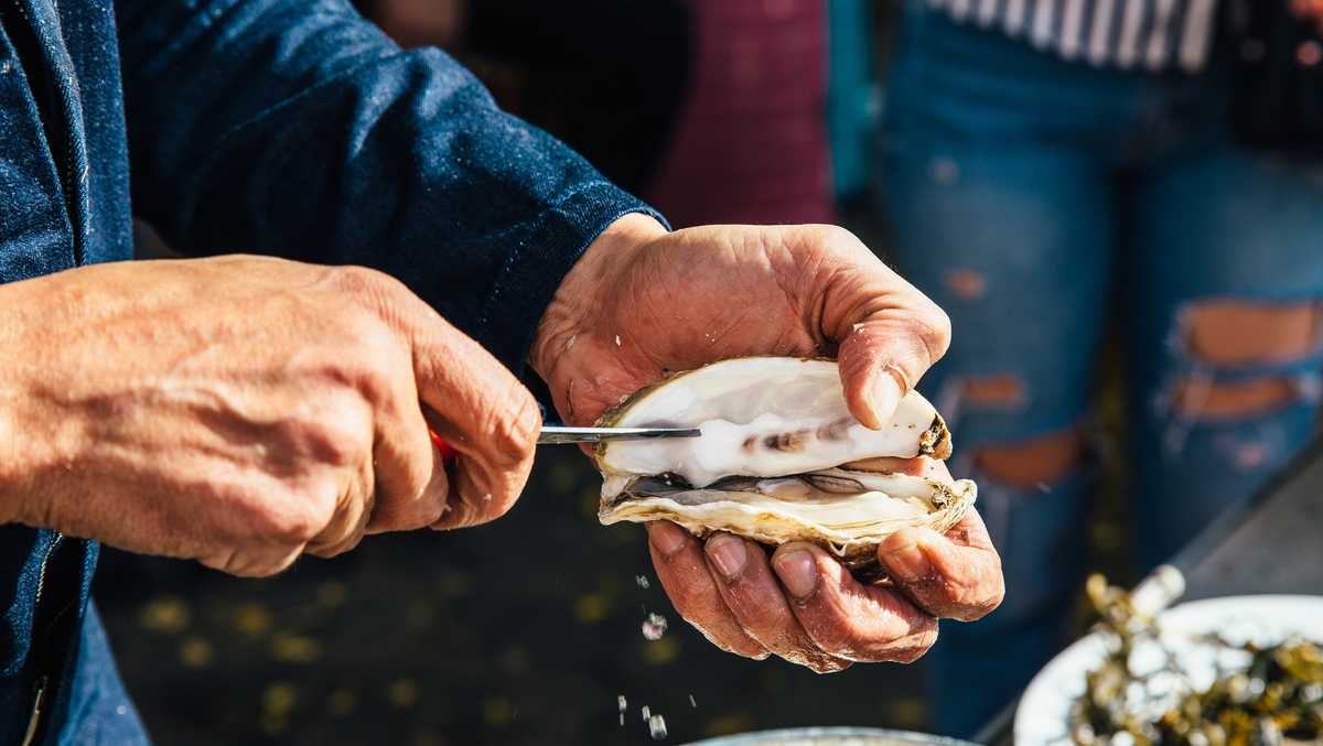 Dangerous levels of toxins found in shellfish from 2 California counties