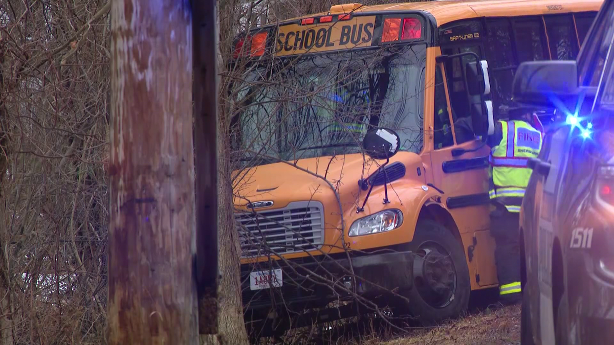 Driver sent to hospital after school bus crashes into tree