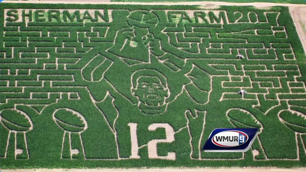 New England corn maze carved to honor Patriots quarterback Tom Brady