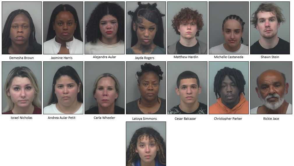 Georgia: Police arrest 19 mall shoplifters in just two days