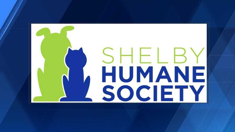 Shelby Humane Society transports animals to northeast of the country
