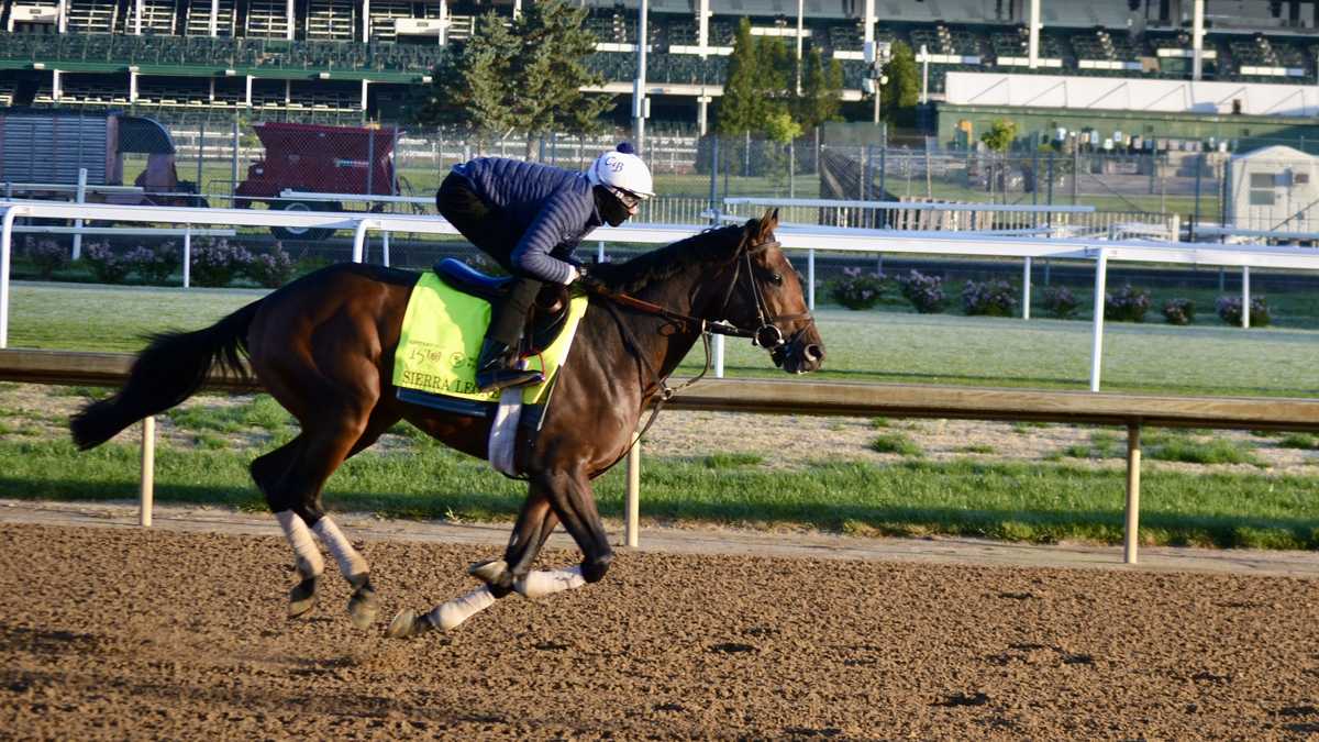 Kentucky Derby 150 field: Post positions, odds