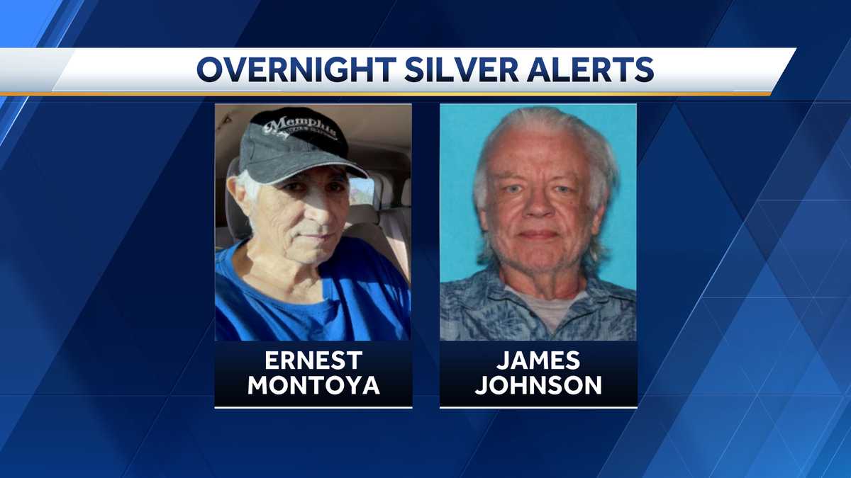 Two Silver Alerts Issued Overnight for Missing Men in the Metro