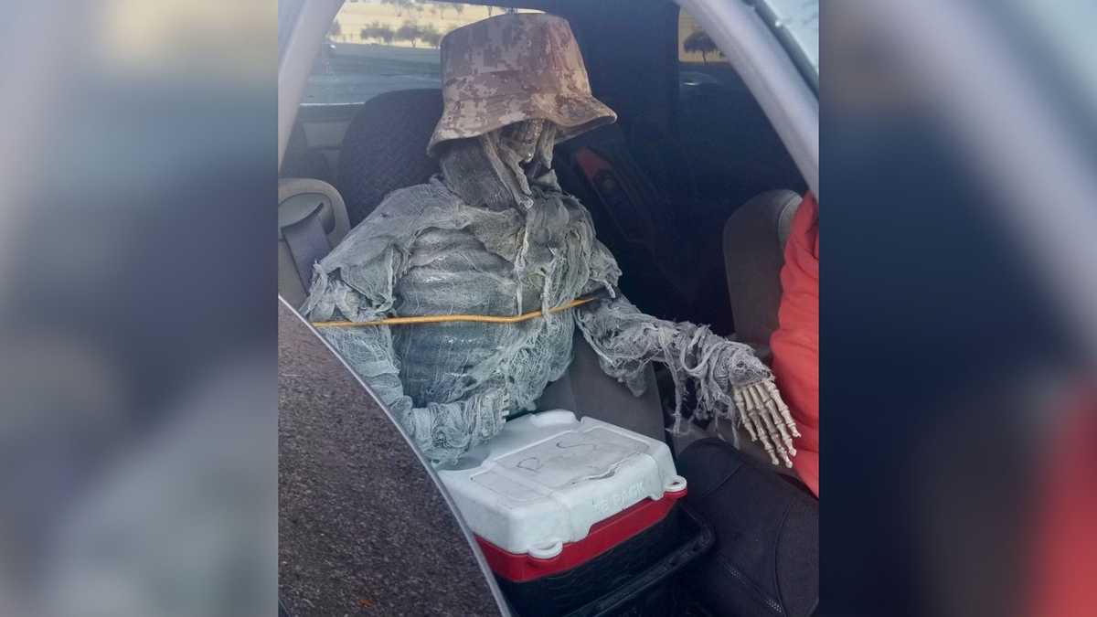 A driver was 'dead wrong' for thinking his skeleton passenger counted ...