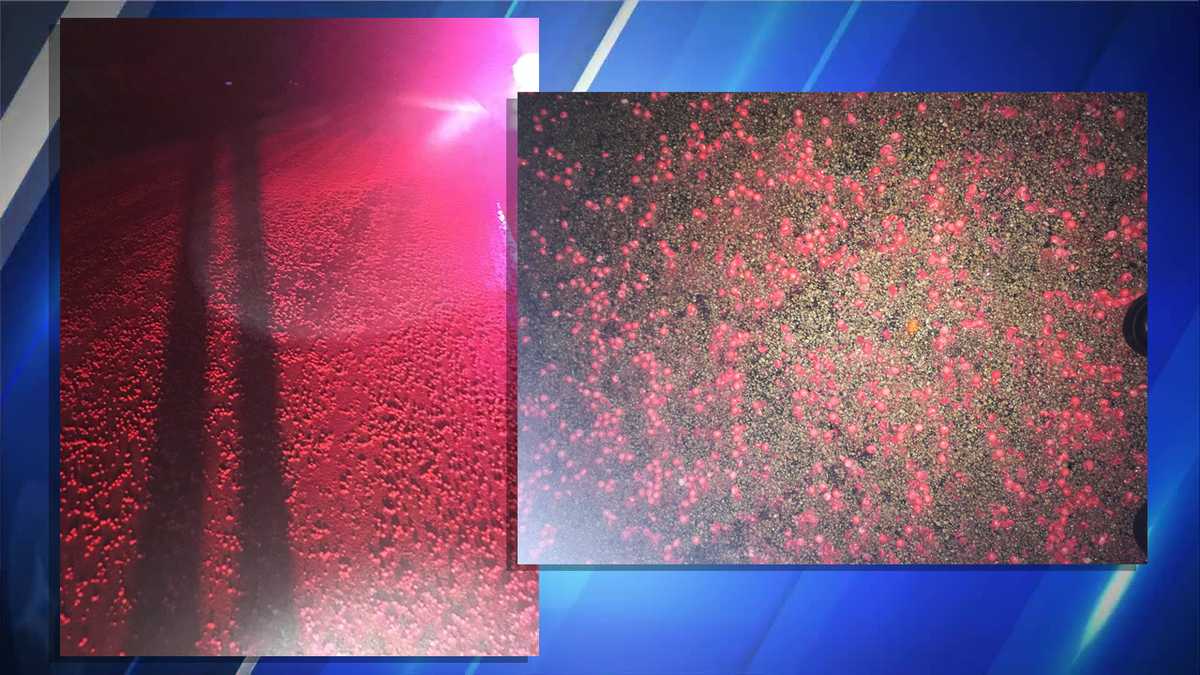 'Hundreds of Thousands' of Skittles strewn on Dodge County road