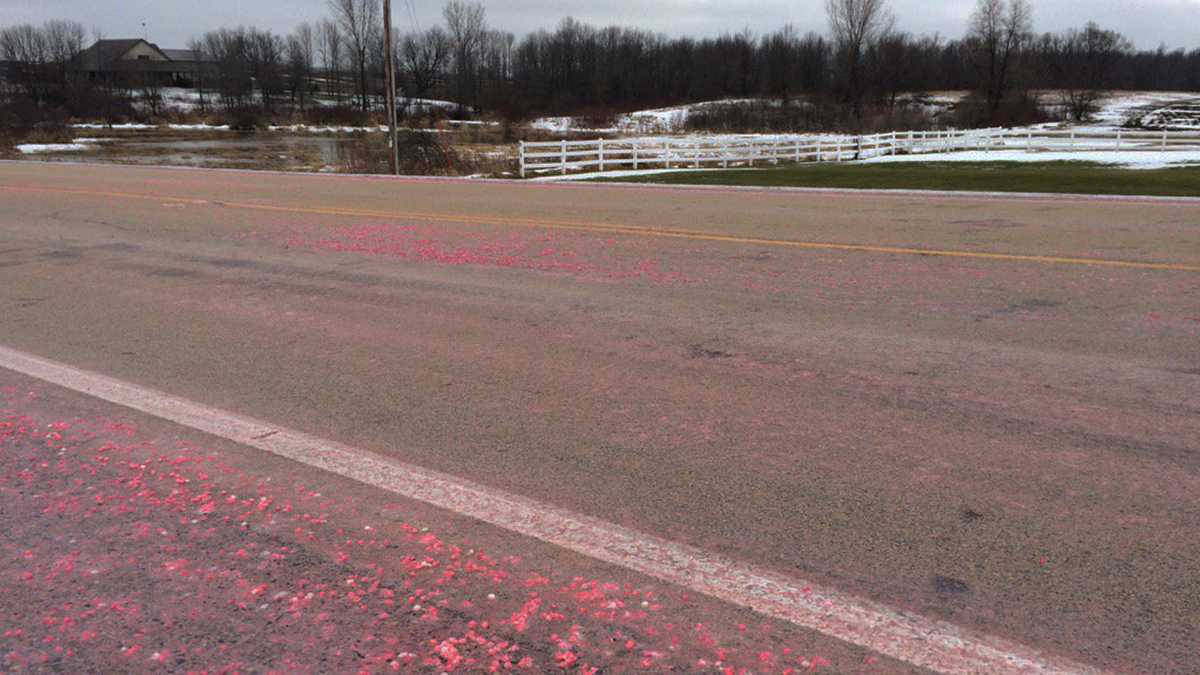 Skittles all over the road? Turns out they were for cattle.